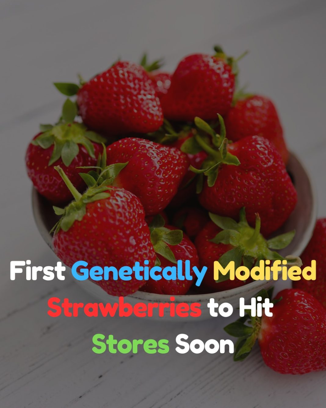 First Genetically Modified Strawberries to Hit Stores Soon ...