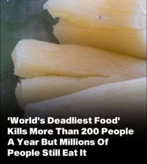 The ‘world’s deadliest food’ claims over 200 lives every year, yet ...