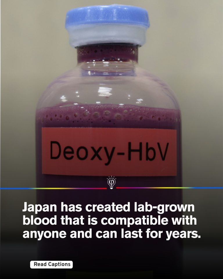 Japan has created lab-grown blood that is compatible with anyone and ...