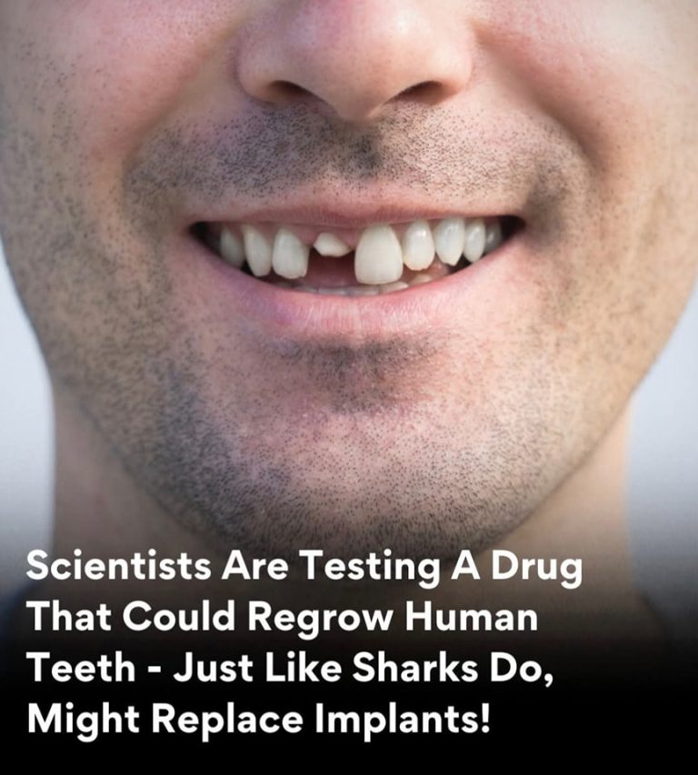 Scientists Are Testing A Drug That Could Regrow Human Teeth – Just Like ...