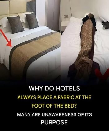 What is the purpose of the strip of fabric that covers hotel beds ...
