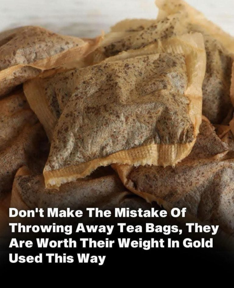 8 Ways To Reuse Old Tea Bags | Najukusnije vijesti