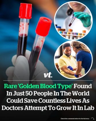 Rare ‘golden blood type’ found in just 50 people in the world could ...