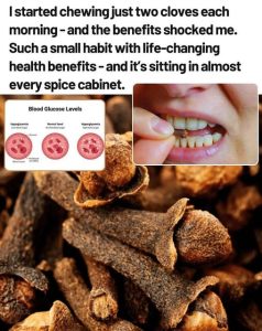 THE COMPLETE GUIDE TO CLOVES: HEALTH BENEFITS & EVERYDAY USES ...