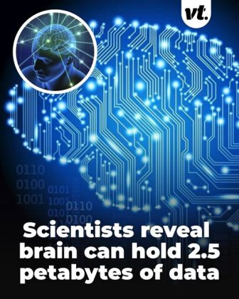 Scientist Reveal Brain Can Hold 2.5 petabytes of data | Najukusnije vijesti