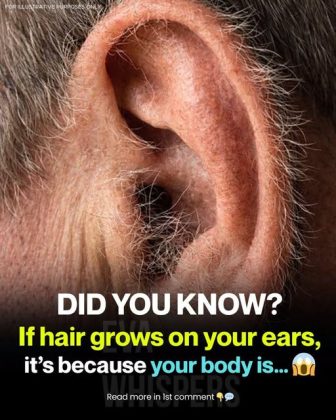 What Your Ear Hair Says About Your Health | Najukusnije vijesti
