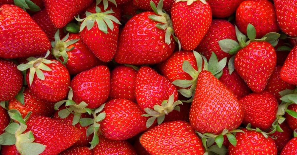I soaked my strawberries in salt water and these white things wriggled ...