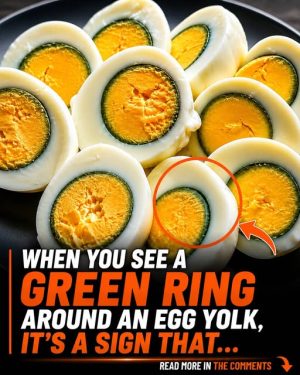KITCHEN SCIENCE: WHAT CHEMICAL REACTION CAUSES THE GREEN RING AROUND ...